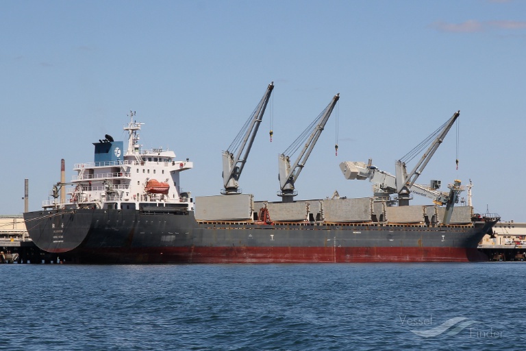 PH MINH GIANG, Bulk Carrier - Detalles del buque y posición actual ...