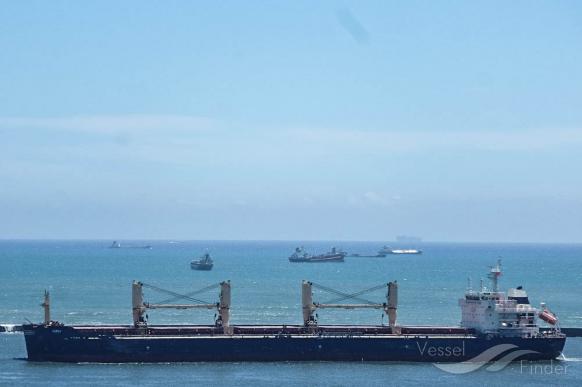 SEA LIBRA, Bulk Carrier - Details and current position - IMO 9466881 ...