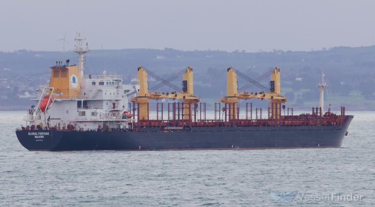 GLOBAL FORTUNE, Bulk Carrier - Schiffsdaten und aktuelle Position - IMO ...