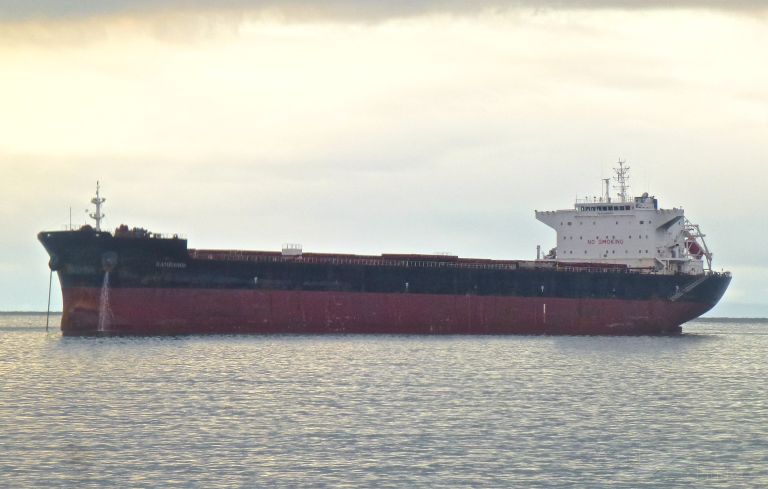 WEALTH CERES, Bulk Carrier - Details and current position - IMO 9469053 ...