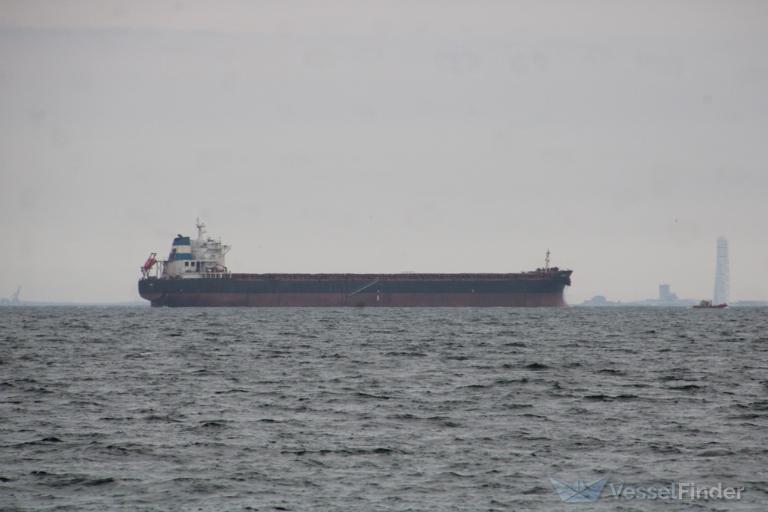 ADAM I, Bulk Carrier - Details and current position - IMO 9469508 ...