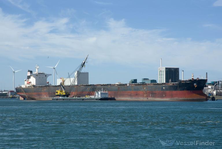 MSXT TRINITY, Bulk Carrier - Details and current position - IMO 9469637 ...