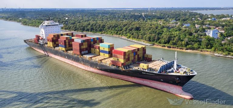 MSC NASSAU, Container Ship - Details and current position - IMO 9471226 ...