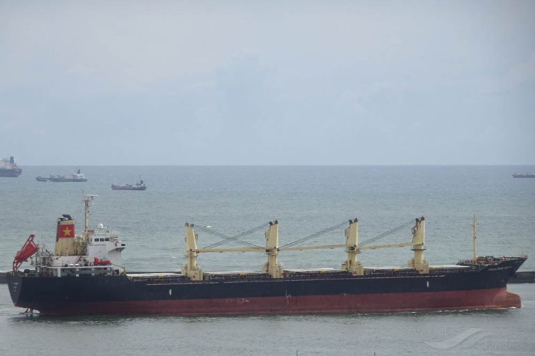 VIMC UNITY, Bulk Carrier - Details and current position - IMO 9472062 ...