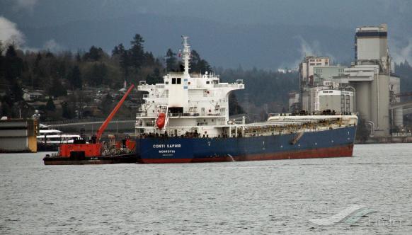 SPRING SNOW, Bulk Carrier - Details and current position - IMO 9473274 ...