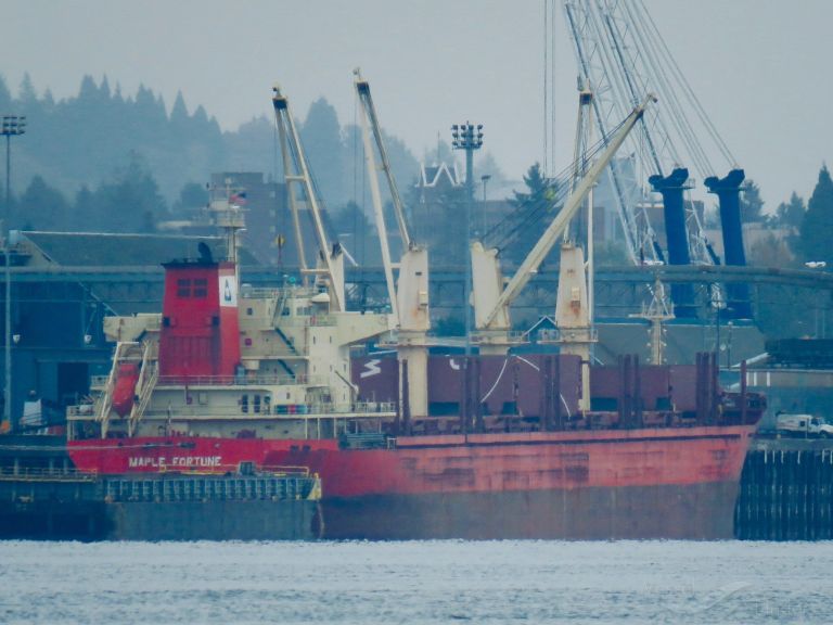 MAPLE FORTUNE, Bulk Carrier - Dane statku i aktualna pozycja - IMO ...