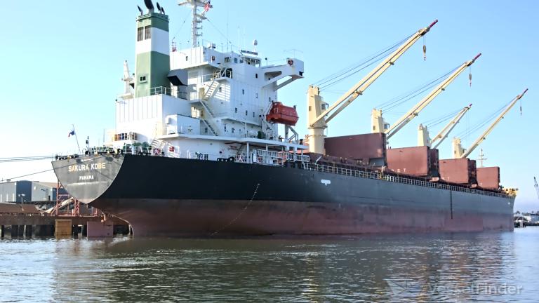 HANDY HEIDI, General Cargo Ship - Details and current position - IMO ...