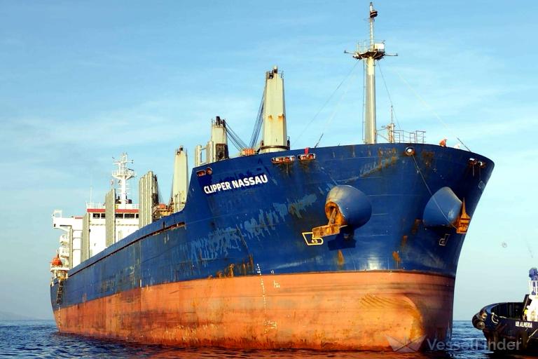 V BROS, Bulk Carrier - Details and current position - IMO 9474204 ...