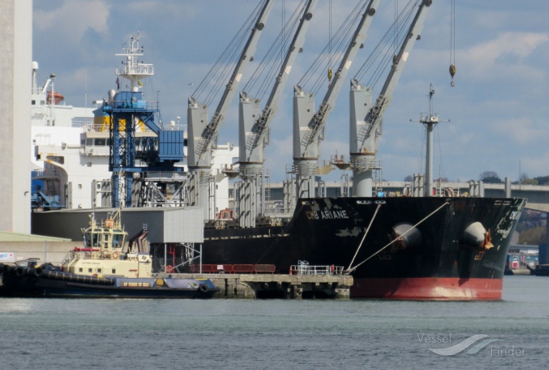 BIRTE SELMER, Bulk Carrier - Gemi detayları ve güncel harita konumu ...