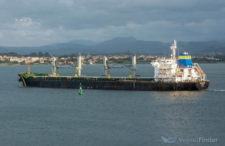 BIRTE SELMER, Bulk Carrier - Details and current position - IMO 9474254 ...