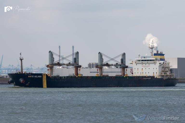 BIRTE SELMER, Bulk Carrier - Detalles del buque y posición actual - IMO ...
