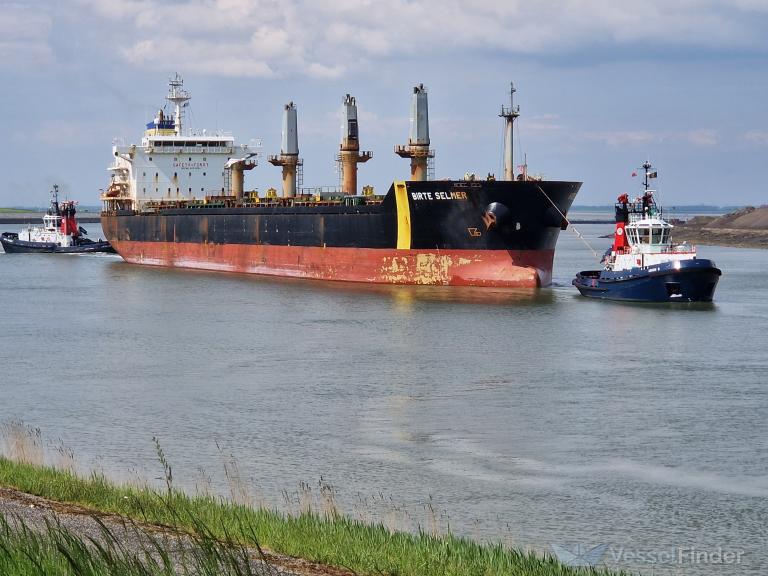 BIRTE SELMER, Bulk Carrier - Details and current position - IMO 9474254 ...