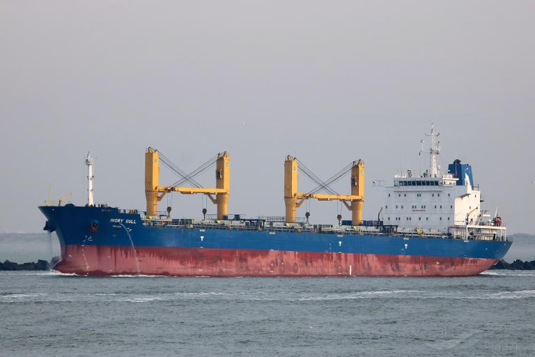 IVORY GULL, Bulk Carrier - Details and current position - IMO 9475715 ...