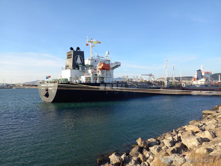 SHAMROCK MERCURY, Chemical/Oil Products Tanker - Details and current ...