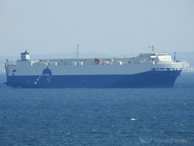 TRANS FUTURE 11, Vehicles Carrier - Details and current position - IMO ...