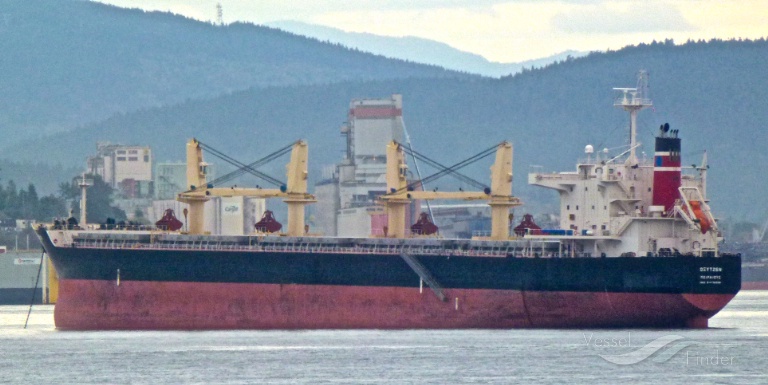 SEA PEARL, Bulk Carrier - Detalles del buque y posición actual - IMO ...