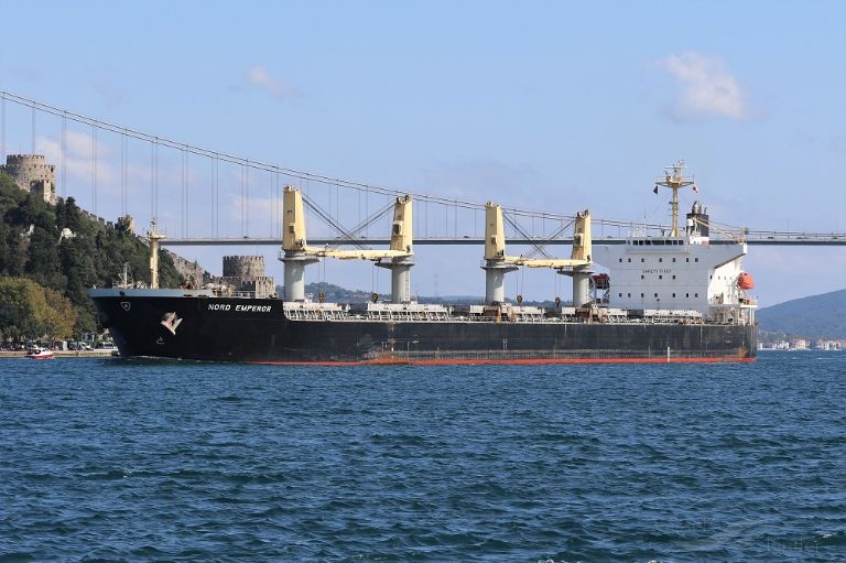 BULK MANARA, Bulk Carrier - Details and current position - IMO 9478951 ...