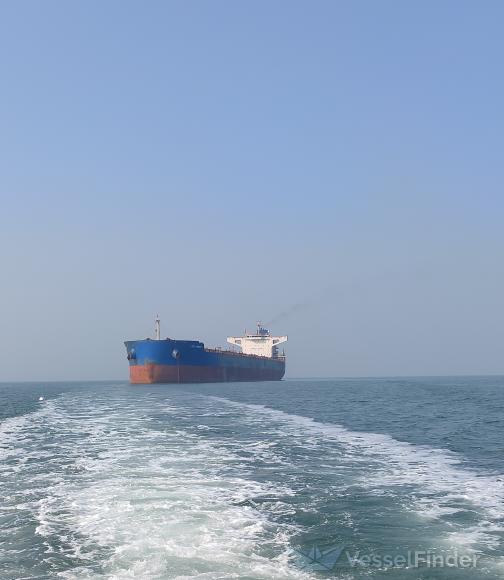 GCL YAMUNA, Bulk Carrier - Details and current position - IMO 9481219 ...