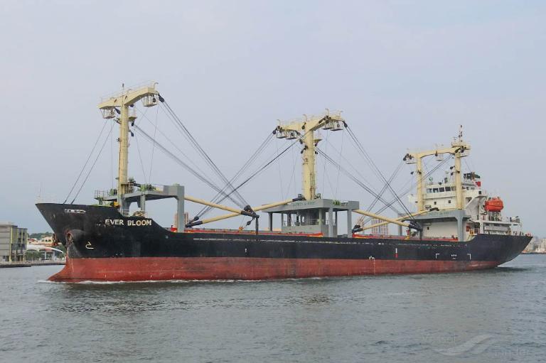 EVER BLOOM, General Cargo Ship - Details and current position - IMO ...