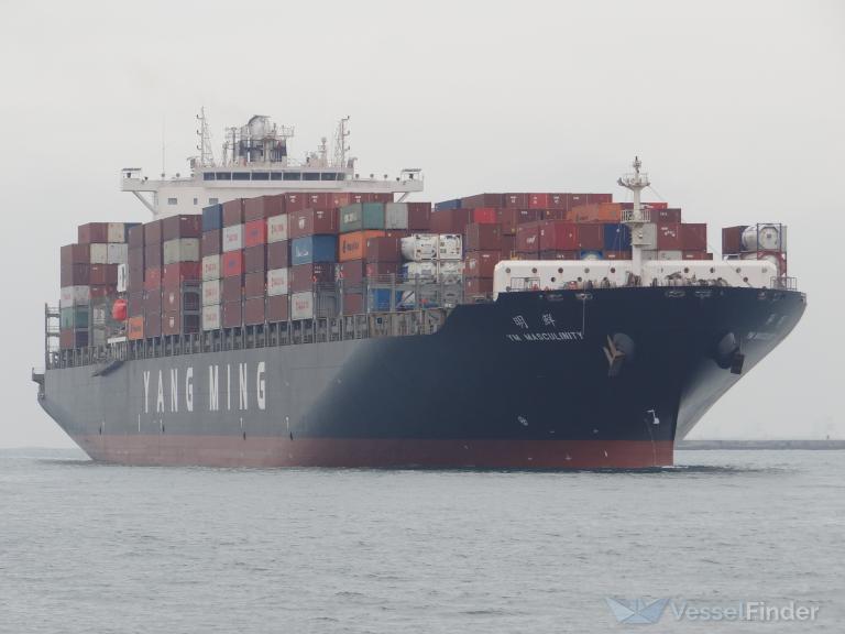 YM MASCULINITY, Container Ship - Details and current position - IMO 9485007 - VesselFinder