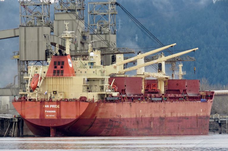 PRIDE, Bulk Carrier - Details and current position - IMO 9487407 ...