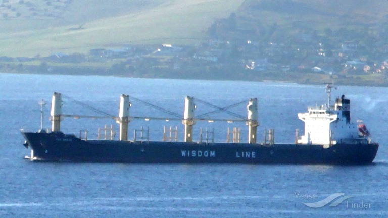 TAO BRAVE, Bulk Carrier - Details and current position - IMO 9487586 ...