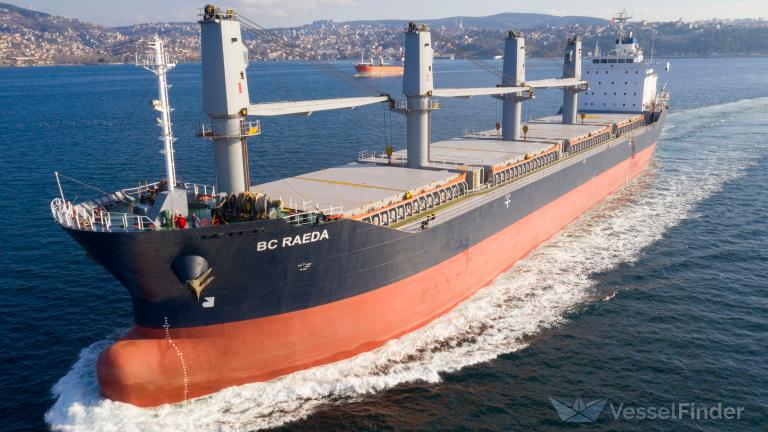 BC RAEDA, Bulk Carrier - Details and current position - IMO 9487598 ...