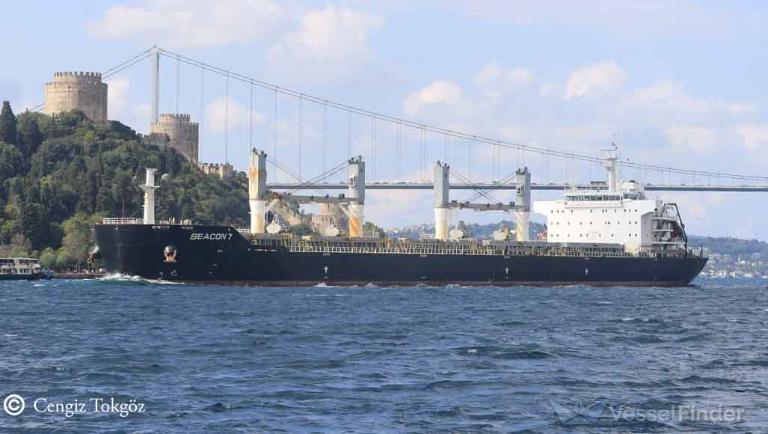SEACON 7, Bulk Carrier - Details and current position - IMO 9487665 ...