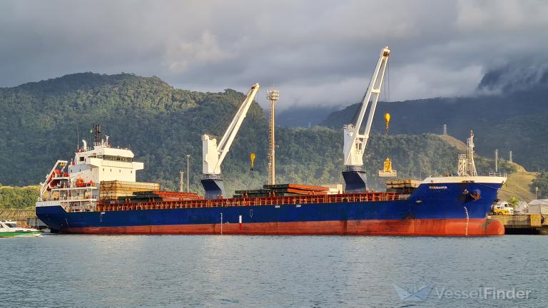 ANNAMARIA, General Cargo Ship - Details and current position - IMO ...