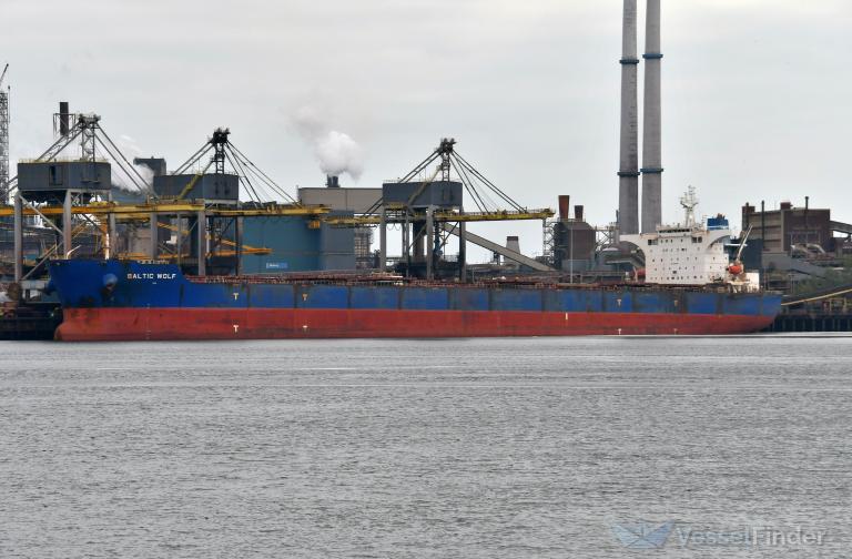 BALTIC WOLF, Bulk Carrier - Details and current position - IMO 9492335 ...