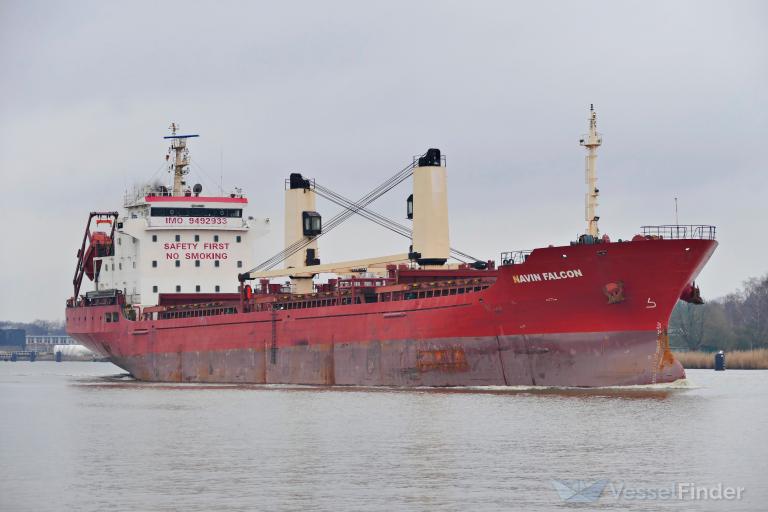 NAVIN FALCON, Bulk Carrier - Details and current position - IMO 9492933 ...