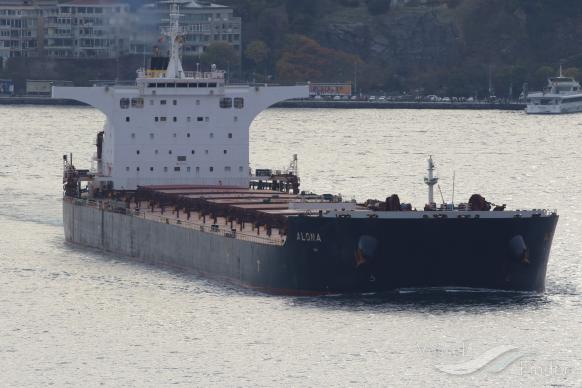 ALONA, Bulk Carrier - Данные судна и текущее положение - IMO 9493016 ...