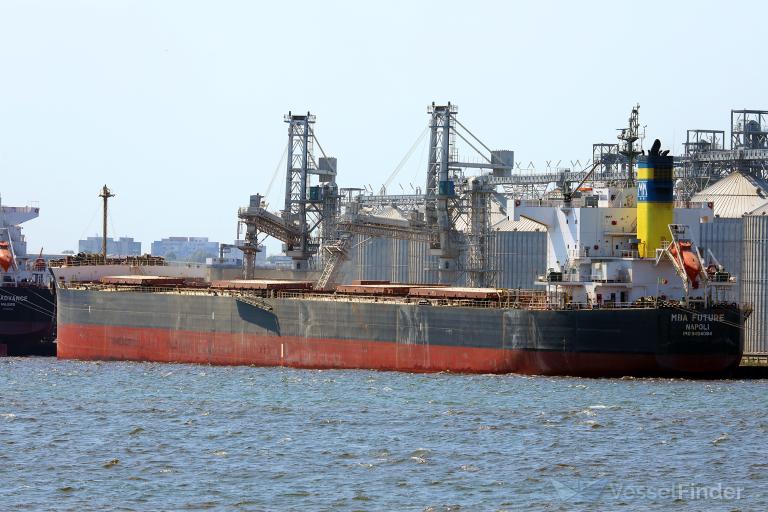 MBA FUTURE, Bulk Carrier - Details and current position - IMO 9494084 ...