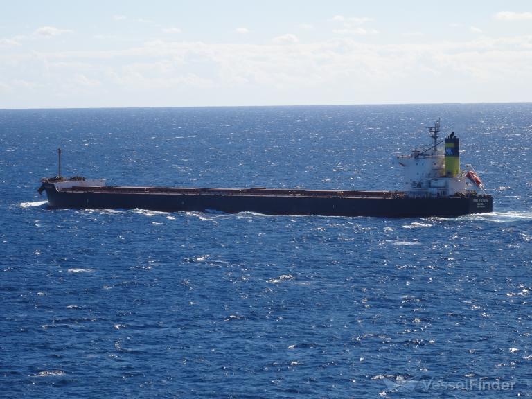MBA FUTURE, Bulk Carrier - Details and current position - IMO 9494084 ...