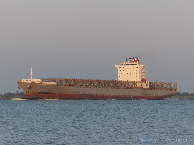 SEASPAN TOKYO photo, Container Ship - Taken on Jul 21, 2021 - VesselFinder