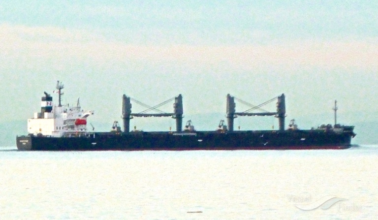 ORION, Bulk Carrier - Détails du bateau et situation actuelle - IMO ...