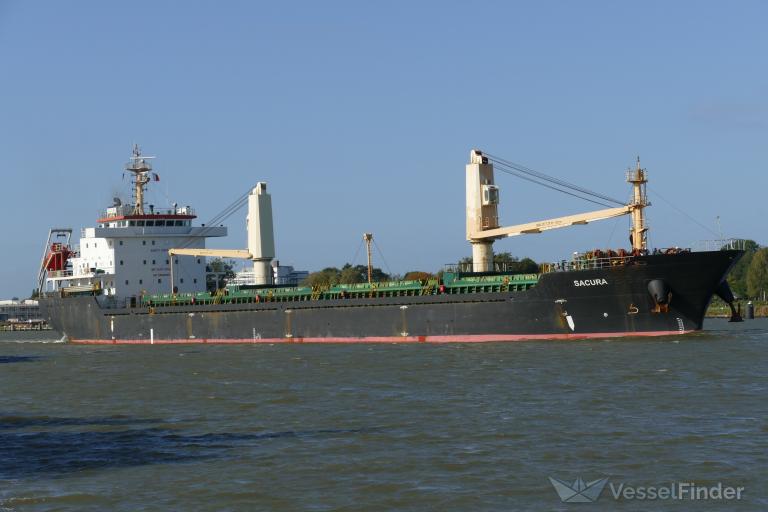 SACURA, Bulk Carrier - Details and current position - IMO 9497000 ...