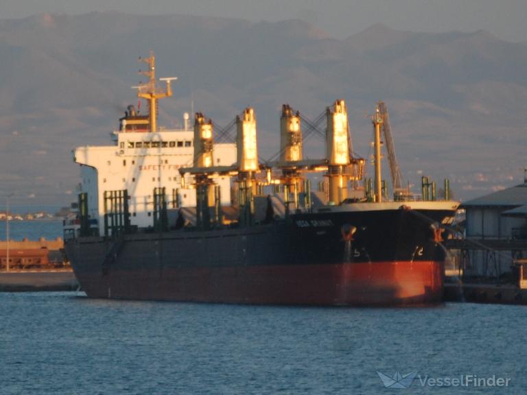 VEGA GRANAT, Bulk Carrier - Details and current position - IMO 9497440 ...