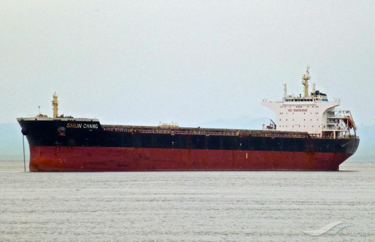 SHUN CHANG, Bulk Carrier - Details and current position - IMO 9498860 ...