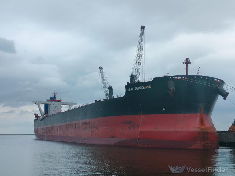 CAPE PEREGRINE, Bulk Carrier - Details and current position - IMO ...