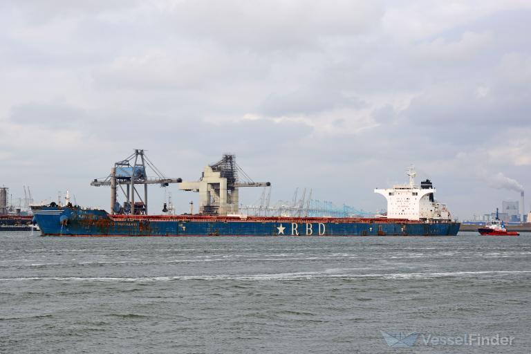 NAVIOS SYMPHONY, Bulk Carrier - Details and current position - IMO ...