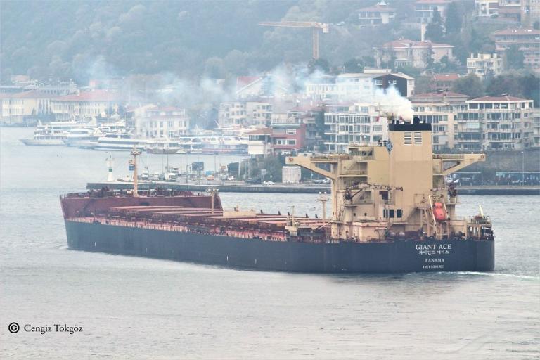 GIANT ACE, Bulk Carrier - Details and current position - IMO 9501851 ...