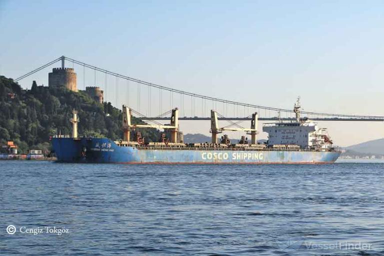 SHENG HENG HAI, Bulk Carrier - Details and current position - IMO ...