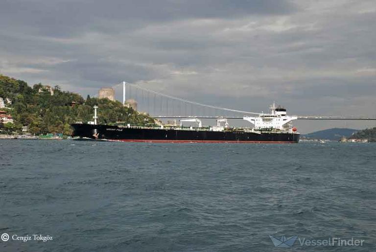 MOUNT FUJI, Crude Oil Tanker - Detalles del buque y posición actual ...