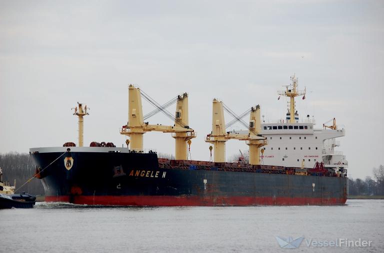 ANGELE N, Bulk Carrier - Details and current position - IMO 9509528 ...