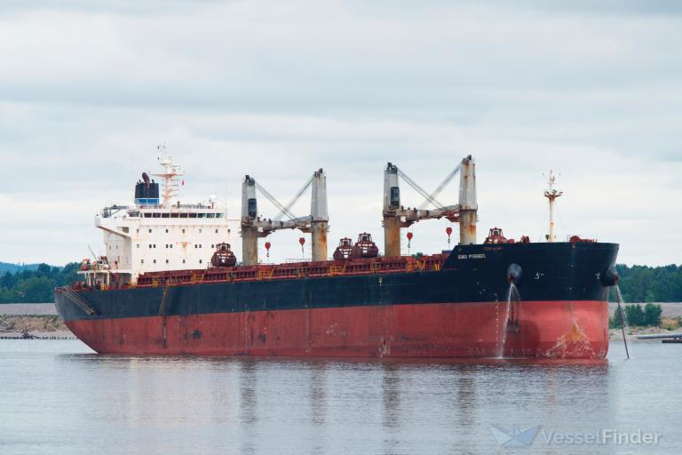 GENCO PYRENEES, Bulk Carrier - Details and current position - IMO ...