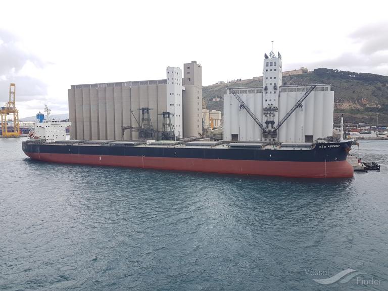 NEW ASCENT, Bulk Carrier - Details and current position - IMO 9512290 ...