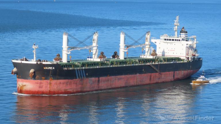 WAIMEA, Bulk Carrier - Details and current position - IMO 9513907 ...