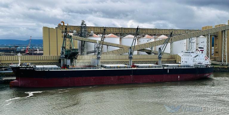 ANNA-META, Bulk Carrier - Details and current position - IMO 9514406 ...