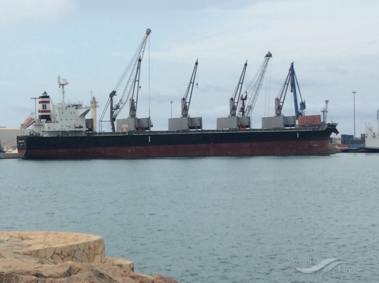ANNA-META, Bulk Carrier - Details and current position - IMO 9514406 ...